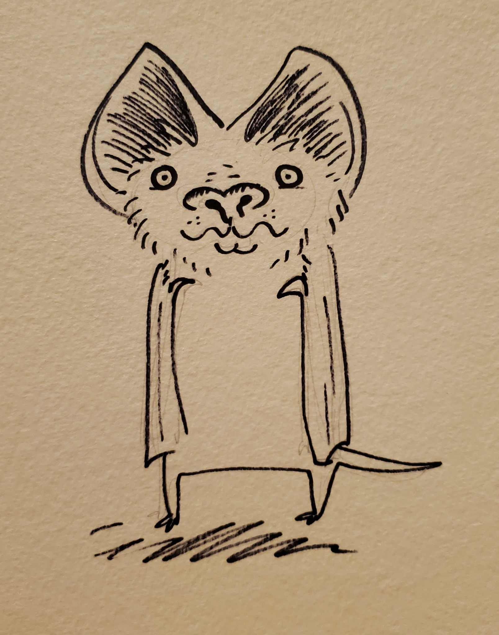 So very rare and far, far away! - Bat Conservation & Rescue of Virginia