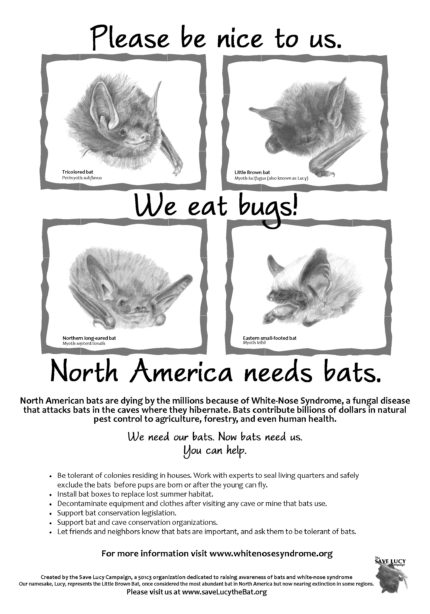 Resources - Bat Conservation & Rescue of Virginia