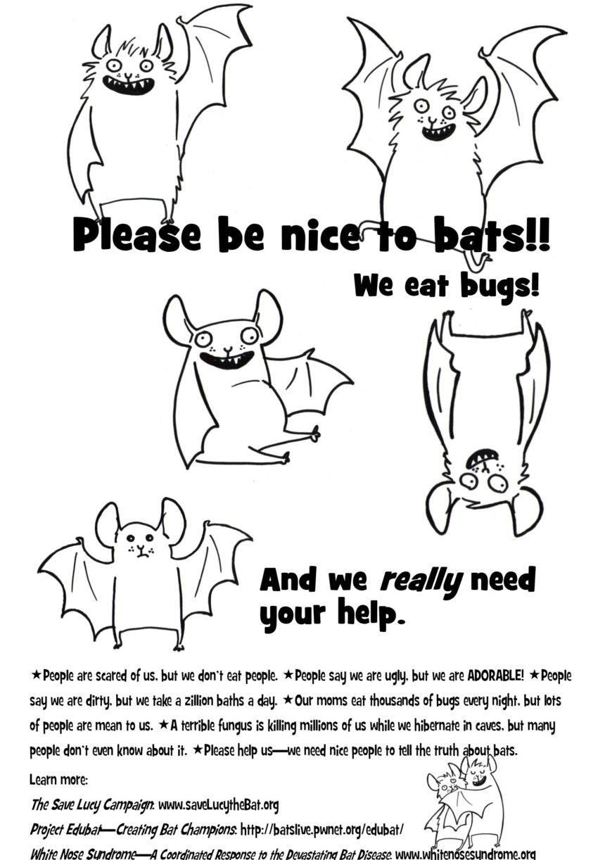 Resources - Bat Conservation & Rescue of Virginia