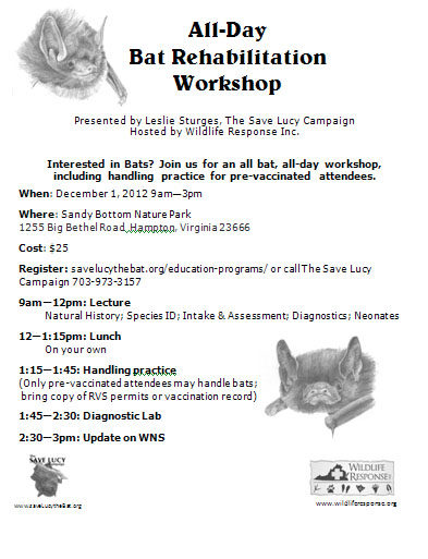 Workshops - Bat Conservation & Rescue of Virginia